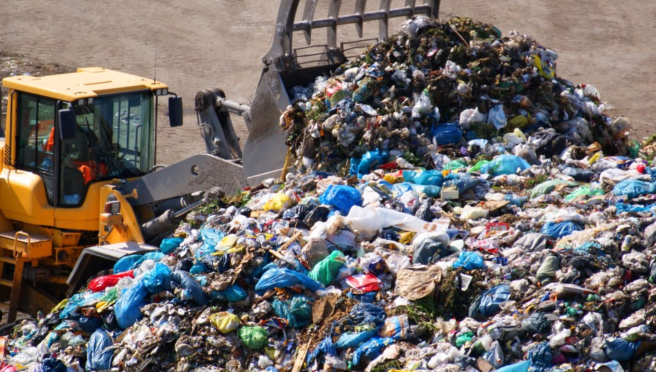Muncipal Solid Waste (MSW) An important resource | NexantECA